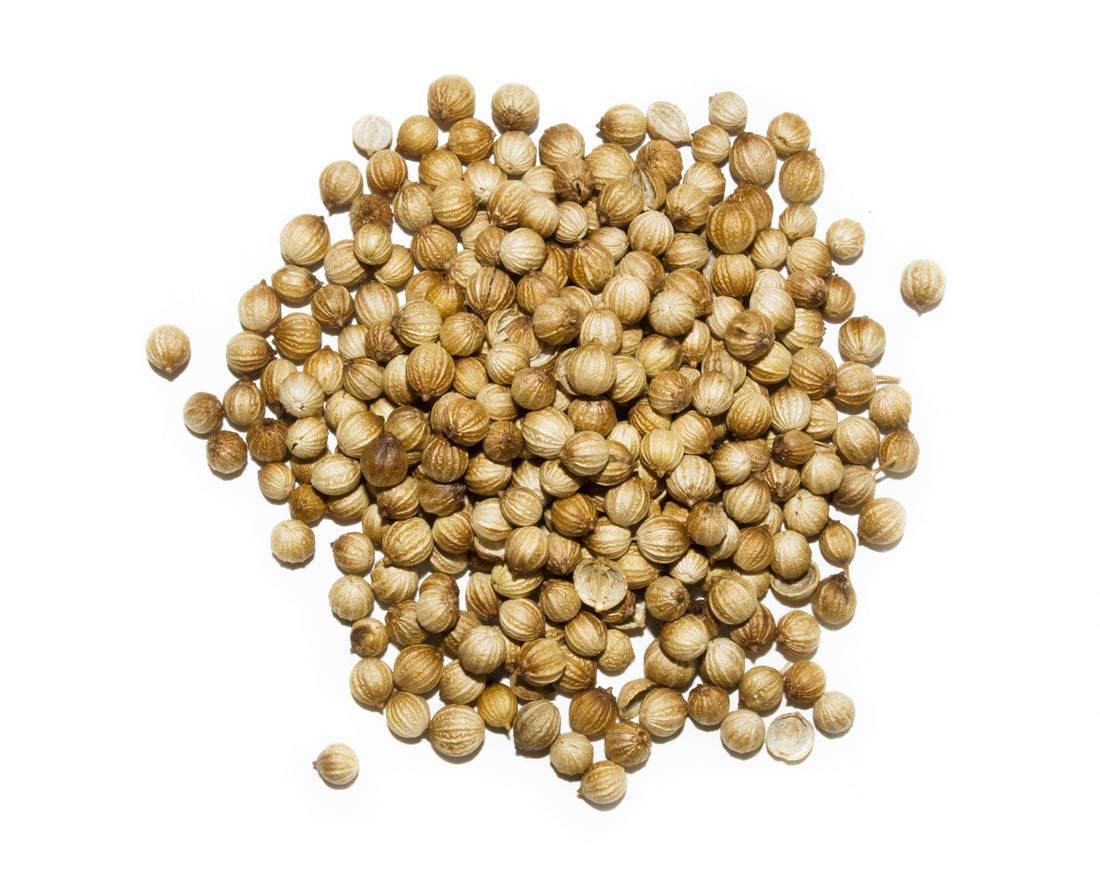 Semilla de cilantro – Botánica Granel